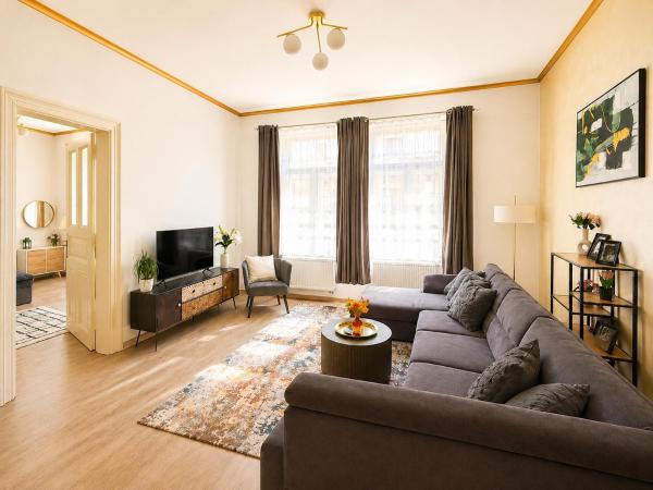 Spacious 95m2 Riverside Apartment Zborovska Prague Smichov - Praga