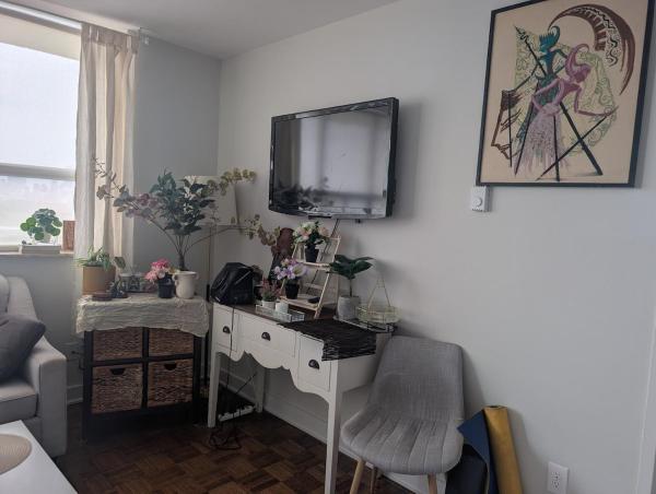 Charming Soulful Home Downtown Toronto West - Toronto
