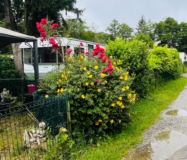 Camping Du Moulin éTang De Pêche Ferme Nature - Belgique