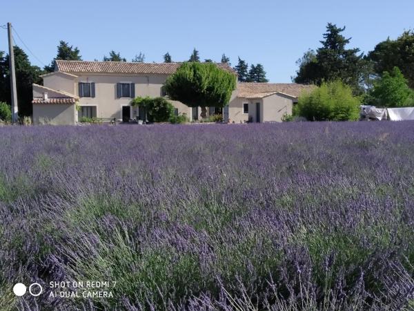 Le Mas Des Calus Chambres D'hôtes - Cavaillon