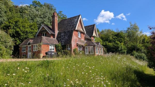 Whitebeams - Canterbury