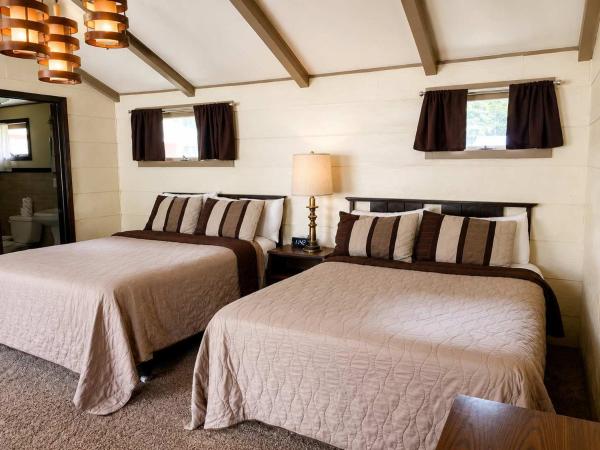 Room 14-2 Queen Suitewoodland Motor Lodge - ミシガン州