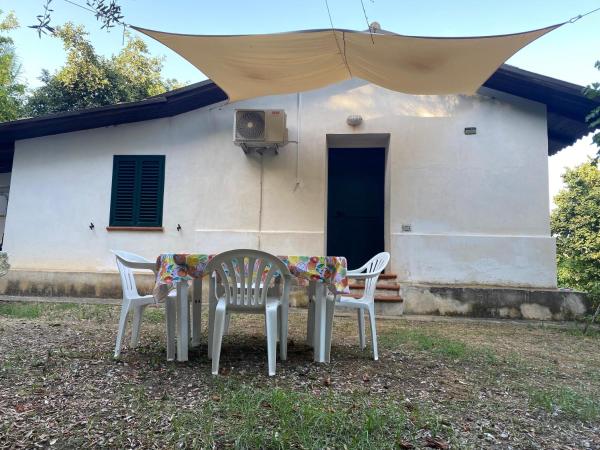 Medlar Apartments - Zambrone