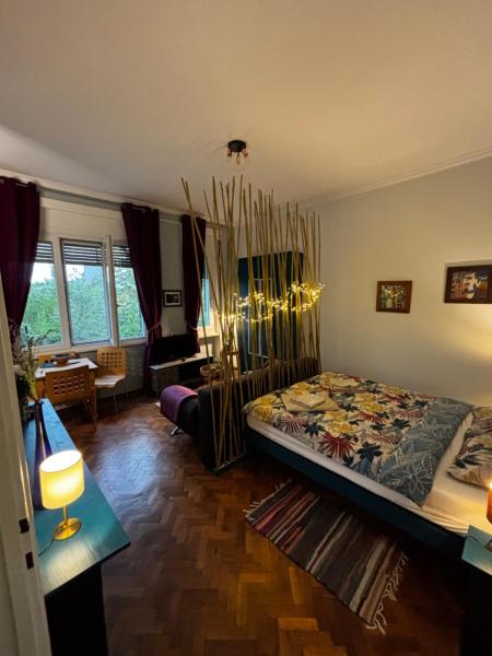 Central Studio - Timișoara