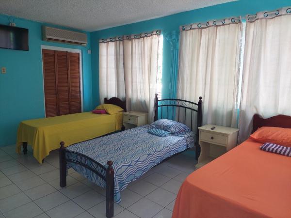 Dancehall Hostel Guest House - Kingston