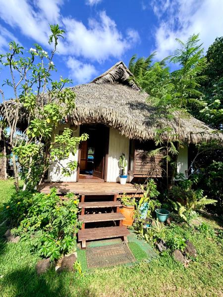Tiare And Turtle - Bora-Bora