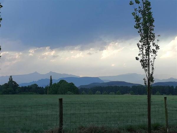 Serenity - Underberg