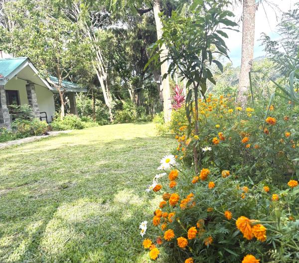 Koshi's Country Cottage Ella - 斯里蘭卡