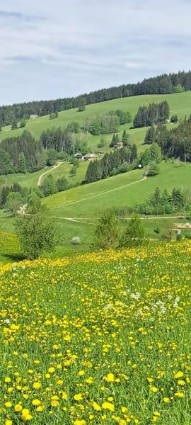 Ferienwohnung Im Schwarzwald Mit Blick Ins Grüne Und Balkon - Schönwald