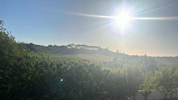 Piupiustays - Óbidos