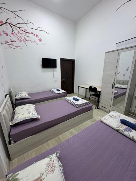 Everest Family Hostel - Tashkent
