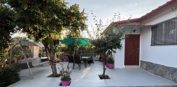 Villa Amelia - Halkidiki