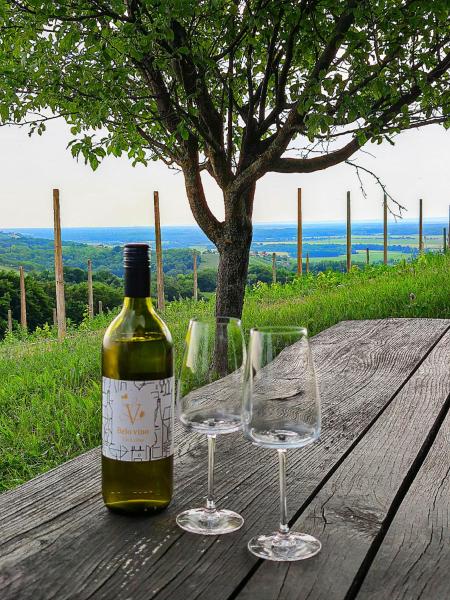Udobna Hiša Med Vinogradi Blizu Vinarium Lend - Comfortable Vineyard House Near Vinarium Tower Lend - Lendava