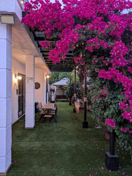 Vincents Paradise - Seville