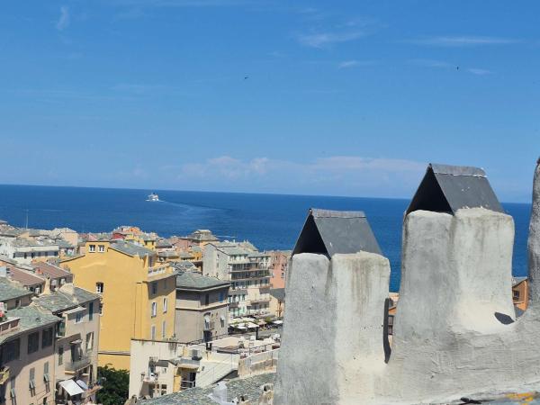 Cocon Lumineux - Bastia