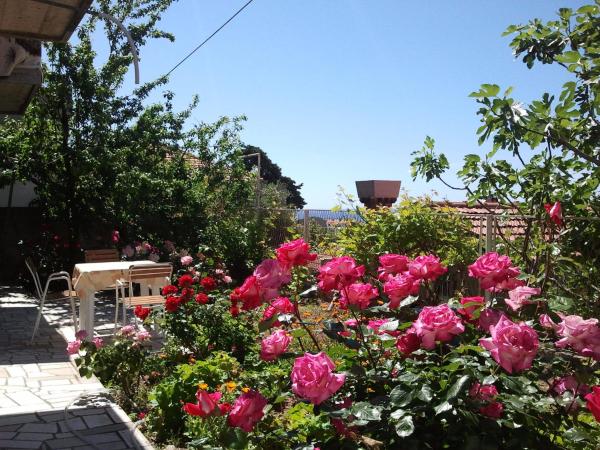 Dino And Jele Apartments - Dubrovnik