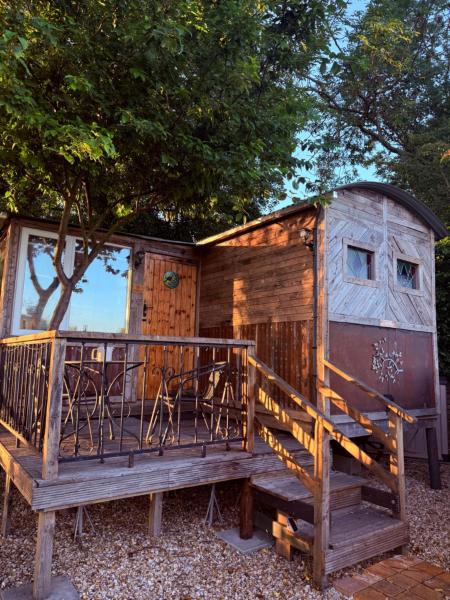 The Cosy Nest Hut - Louth