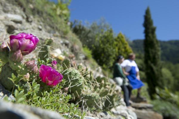 Biohof Niedereben - Naturno