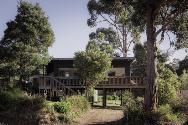 Stewie's Nest - Port Arthur Shack With Fire Pit - Tasman National Park