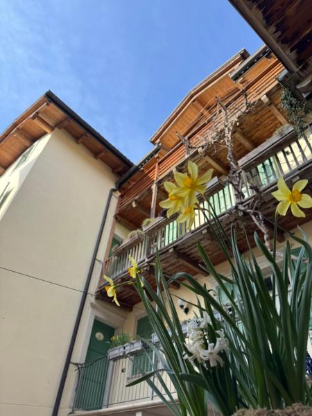 Villa Monica - Ala