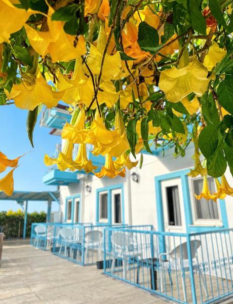 Enjoy Otel - Fethiye
