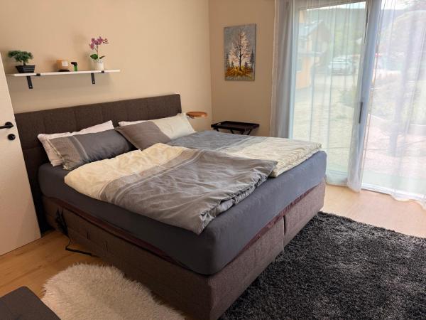 Privatroom For Rent - Wiener Neustadt