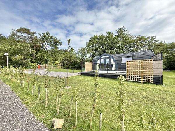 The Pine - Axminster