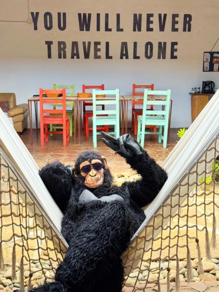 Hostel Trip Monkey Barichara - Barichara