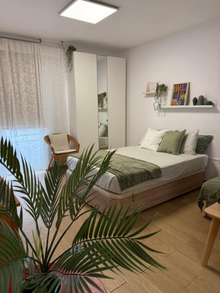 Apartamento Acogedor Y Céntrico - Plaza Del Charco - Puerto de la Cruz