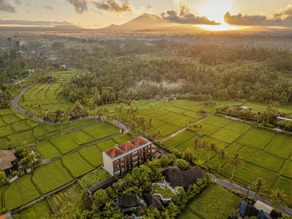 Paon Desa Ubud - Bali