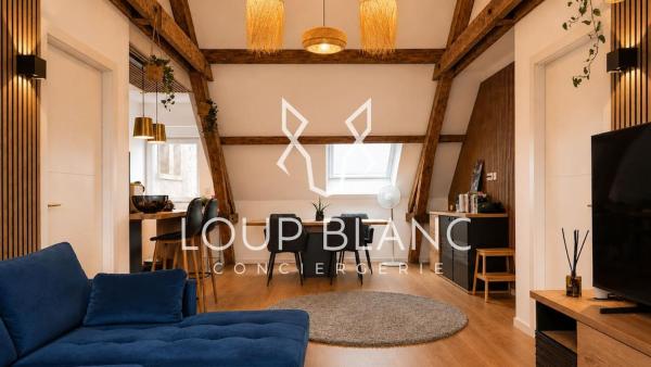 Loft Premium Victor Hugo - Centre Belfort - Techn'hom - ibis Styles Belfort Centre