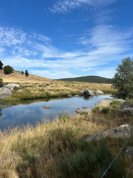 Chalets 5 Pers Cévennes Lozère - Lozère