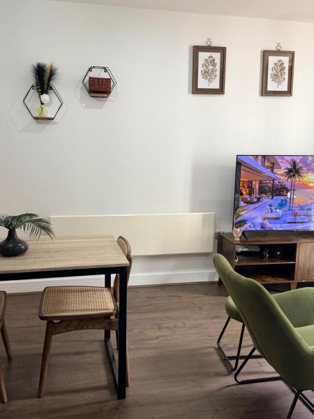 Cozy City Apartment In Birmingham - Staffordshire