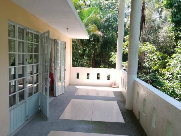 El Jardin De Los Anturios - Xico