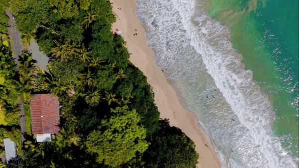 Our Beachfront Bungalow - Punta Uva