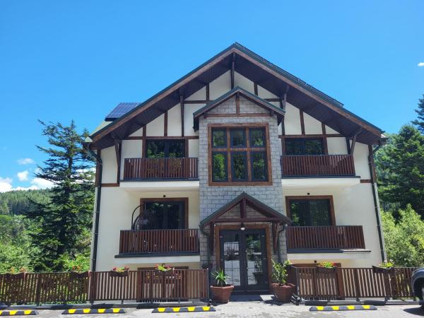 Montis View Sinaia - Sinaia