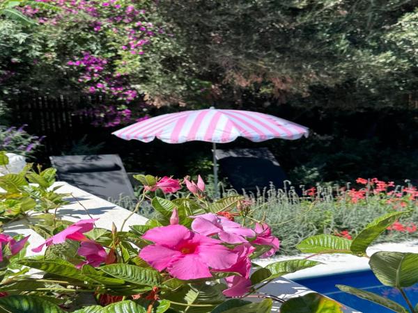 The Montagu Coach House - Montagu