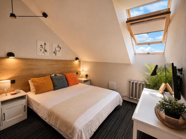 Modern Attick In The Heart Of Vilnius - Vilnius