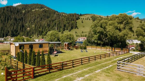 La Casuta Din Ciocanesti Exclusive - Suceava