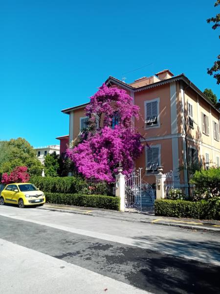 La Casa Dei Paggi - Chiavari