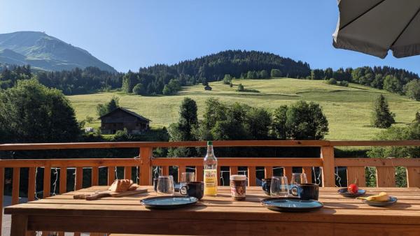 Chalet La Tanière Avec Sauna - La Roche-sur-Foron