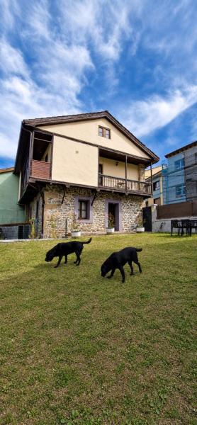 Casona Sariego - Riosa