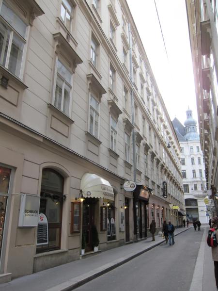 Apartment Altwien - Vienna