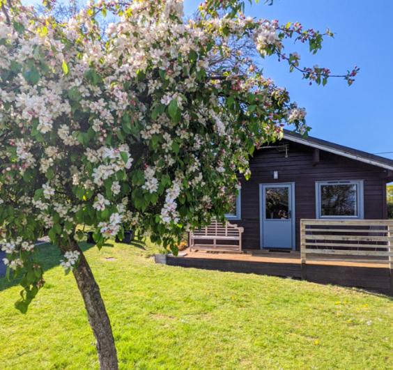 Avallon Lodges - Devon