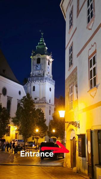 Golden Spur - Old Town Apartment - Pozsony
