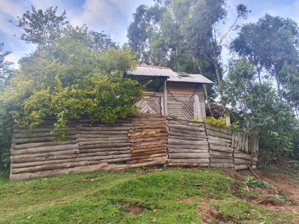 Sunshine Homestay Experience Bunyonyi - Kampala