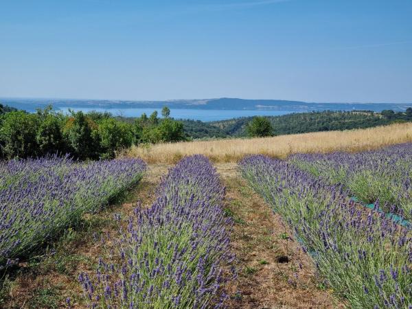 Borgo Del Mastro è La Vostra Vacanza Bucolica! - Trevignano Romano