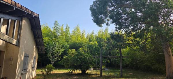 Les Bambous - Landes