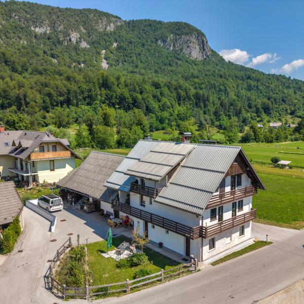 Domačija Petek - Bohinj