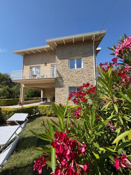 Pratelli B&b - Cattolica